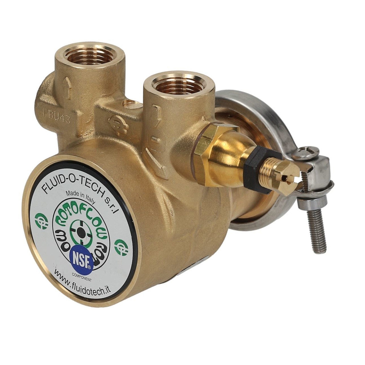 rotary-vane-pump-clamp-fitting-3-8-npt-flat-shaft-200-l-h