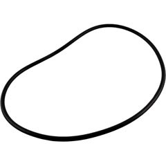 Pentair 355619 Volute O-Ring,