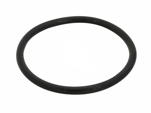 Pentair Diffuser O-Ring 350336