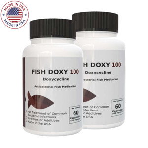 Antibiotics for Fish | Trusted Fish Medications