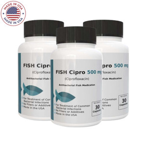 Antibiotics for Fish | Trusted Fish Medications