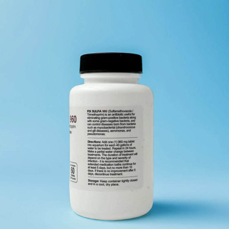 Fish Sulfa sulfamethoxazole Forte Fix Sulfa 960 (60 Tablets)