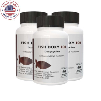 Fish Doxycycline 100mg 60 Capsules – 3 PACKS | Antibiotics