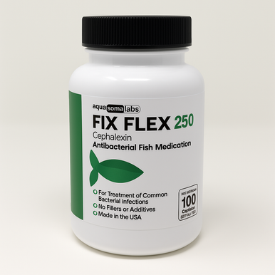 Fish Cephalexin 250mg 100 Capsules | Fish Antibiotics