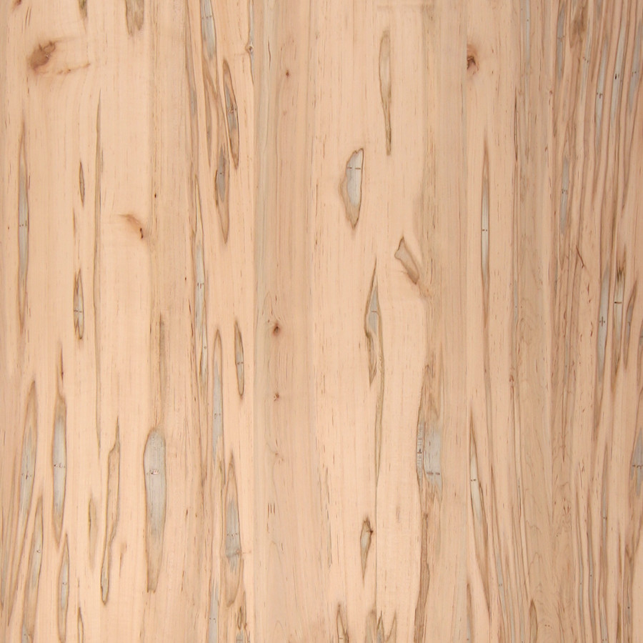 Wormy Maple Veneer Rustic | Spalted Maple Wood Veneers Sheets | Oakwood ...