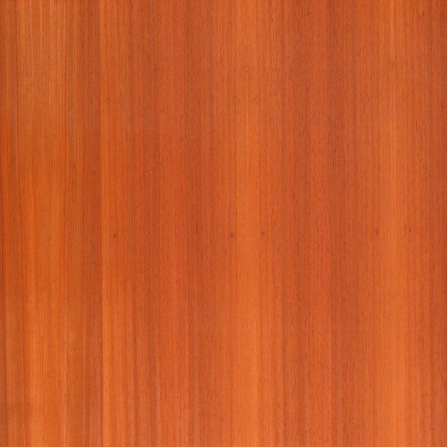 Padauk Veneer | Exotic Padauk Wood Veneers Sheets | Oakwood Veneer Company