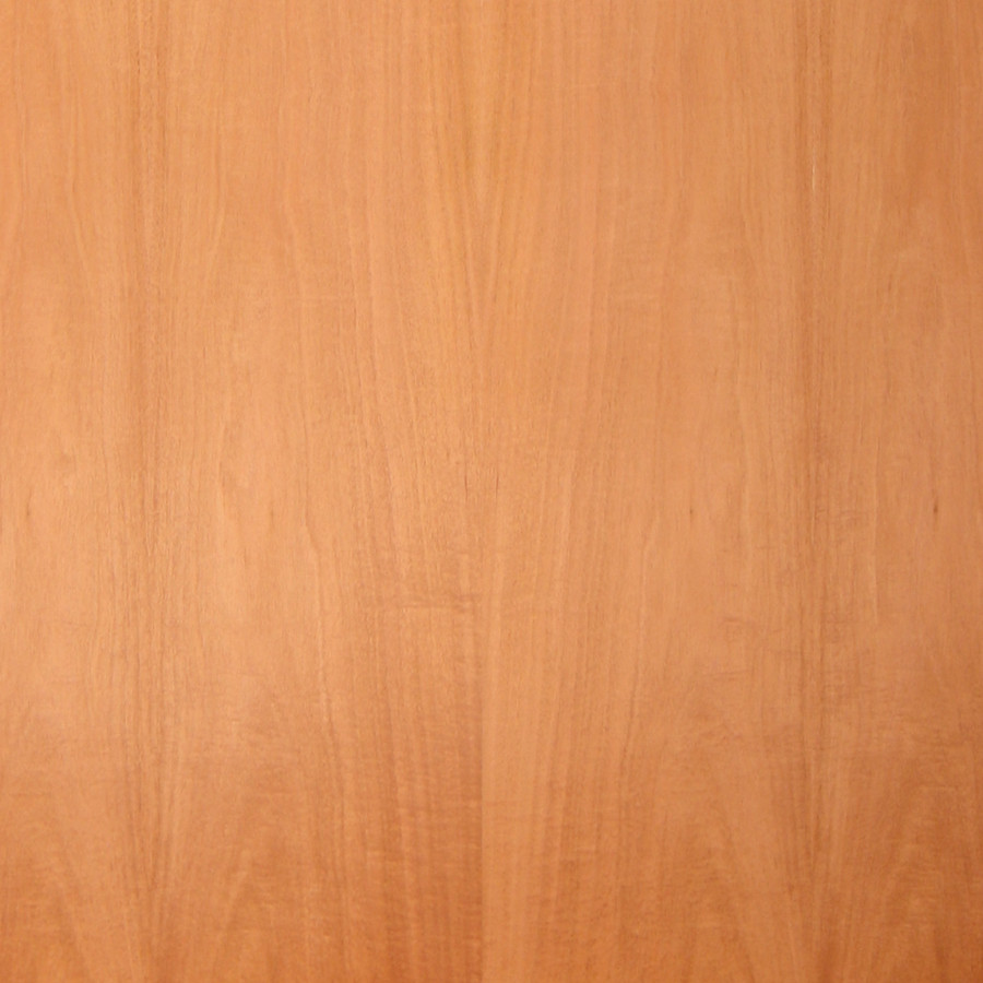 African Mahogany Texture