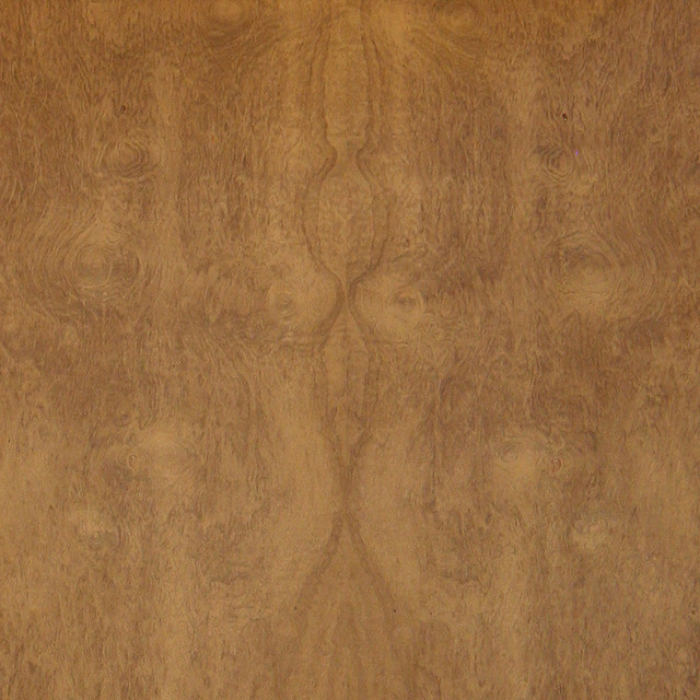 What is Imbuya Burl Wood - Oakwood Veneer
