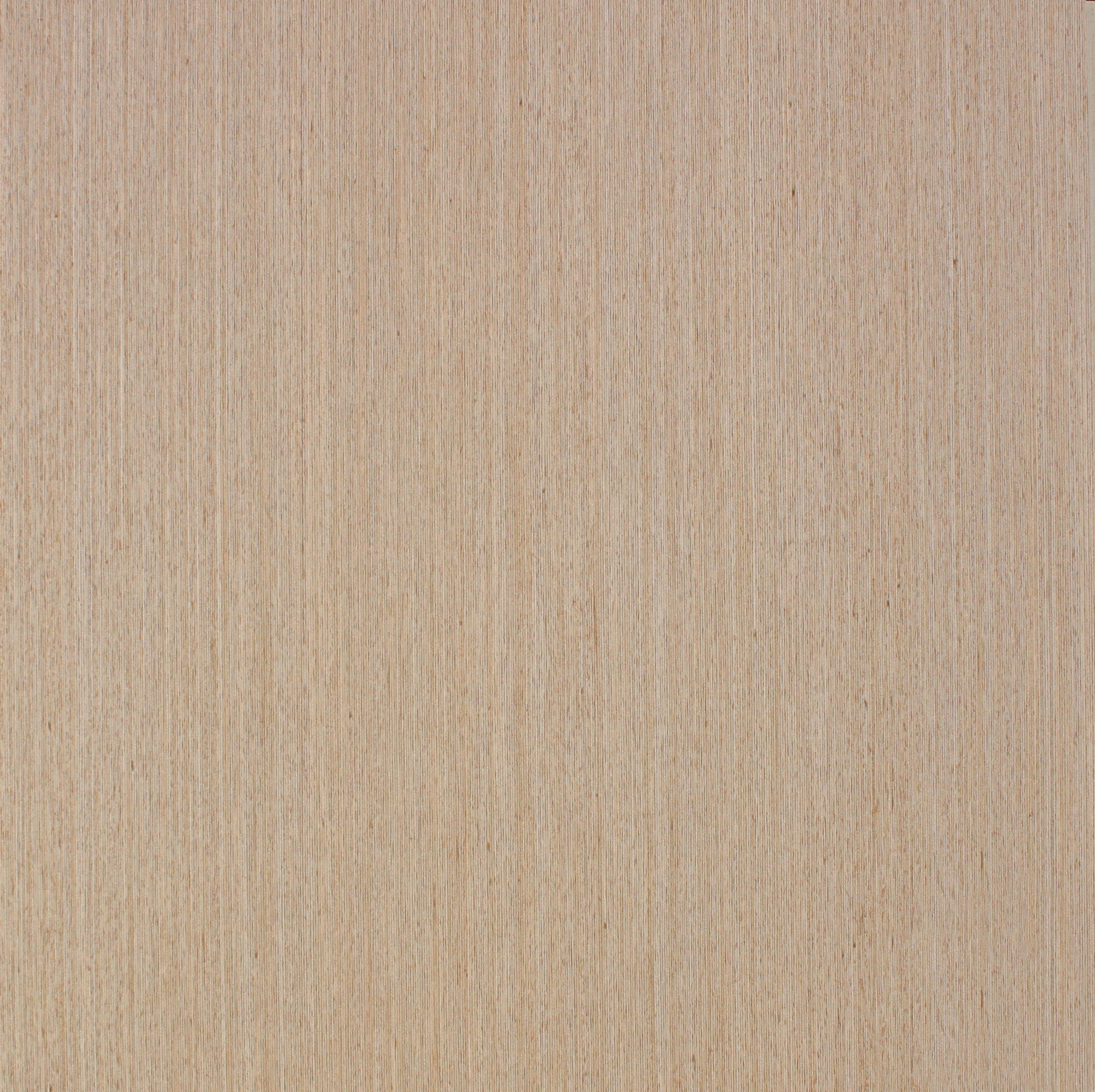 Silver Birch Linea Wood Veneer by Danzer | Oakwood Veneer Company