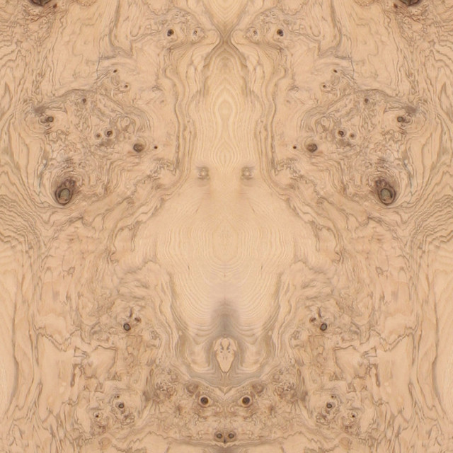 What is Olive Ash Burl Wood - Oakwood Veneer