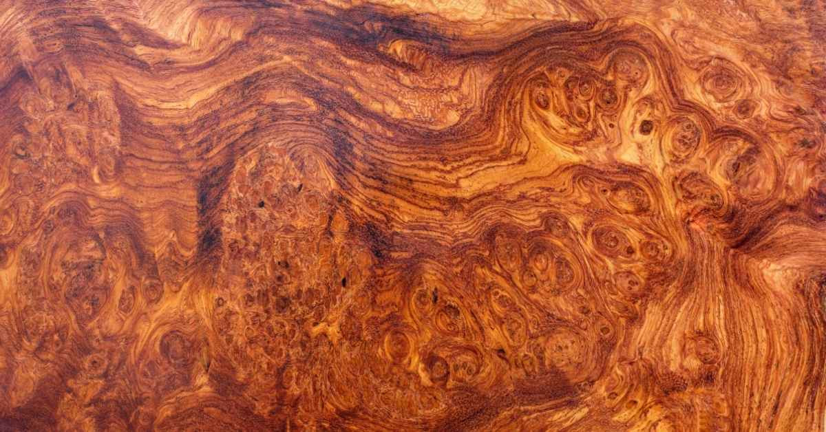 The Beauty in the Burl: Exploring Mappa Burl, Maple Burls, and Oak ...