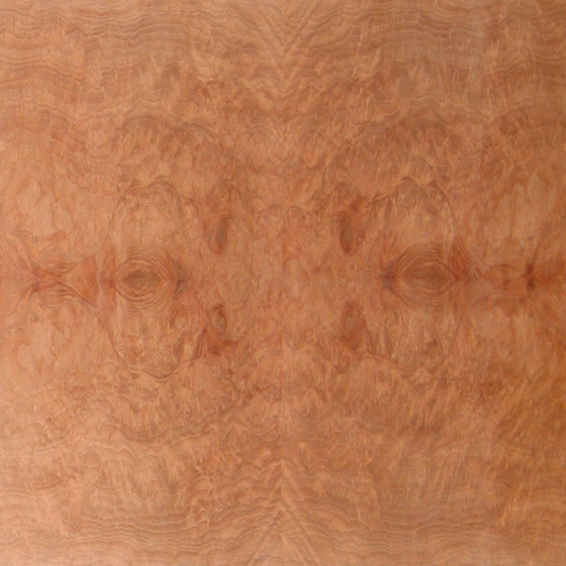 What is Madrone Burl Wood - Oakwood Veneer