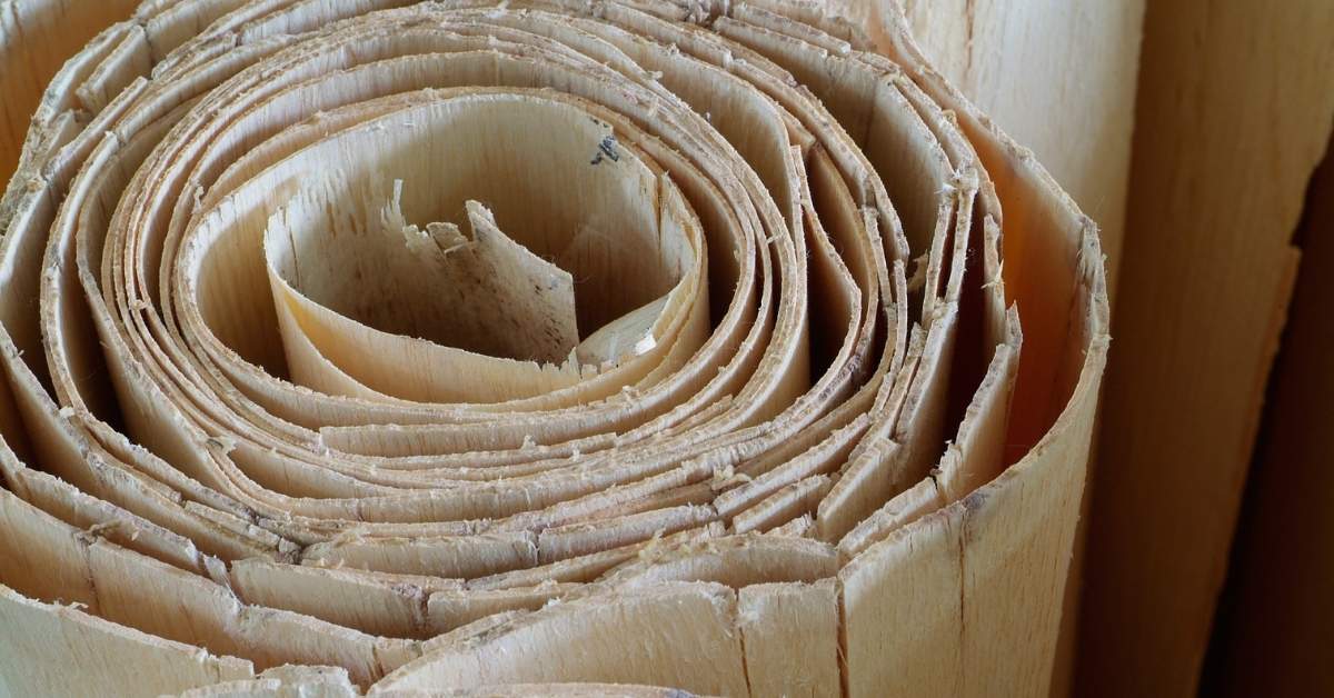 Raw Wood Veneer vs. Backed Veneer: Choosing the Right Veneer Sheet for ...