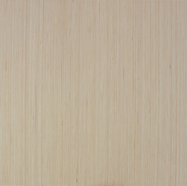 Euro Birch Linea Wood Veneer by Danzer | Oakwood Veneer Company