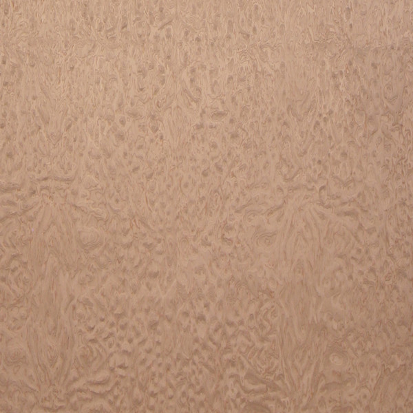 Elm Burl Veneer Italian | Carpathian Elm Burl Wood Veneers | Oakwood ...