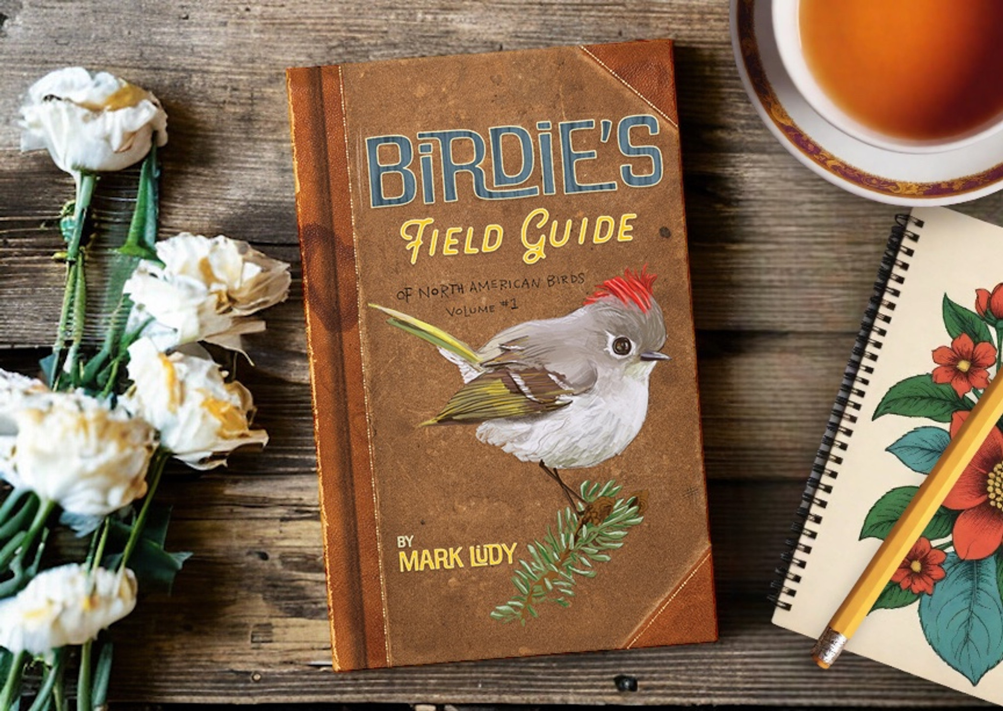 Birdie’s Field Guide | Wordless Picture Book