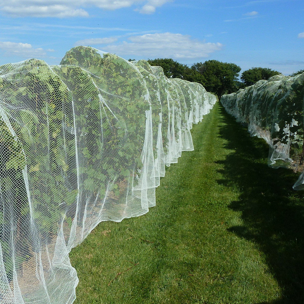 Classic Canopy Single-Row Drape-Over Netting