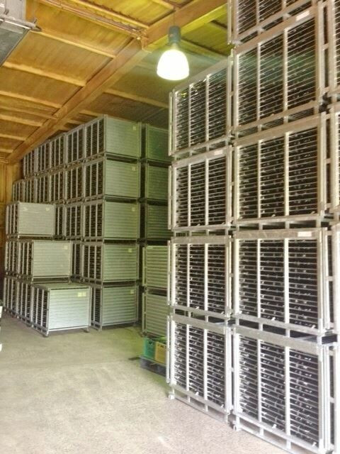 Riddling/Storage Cages