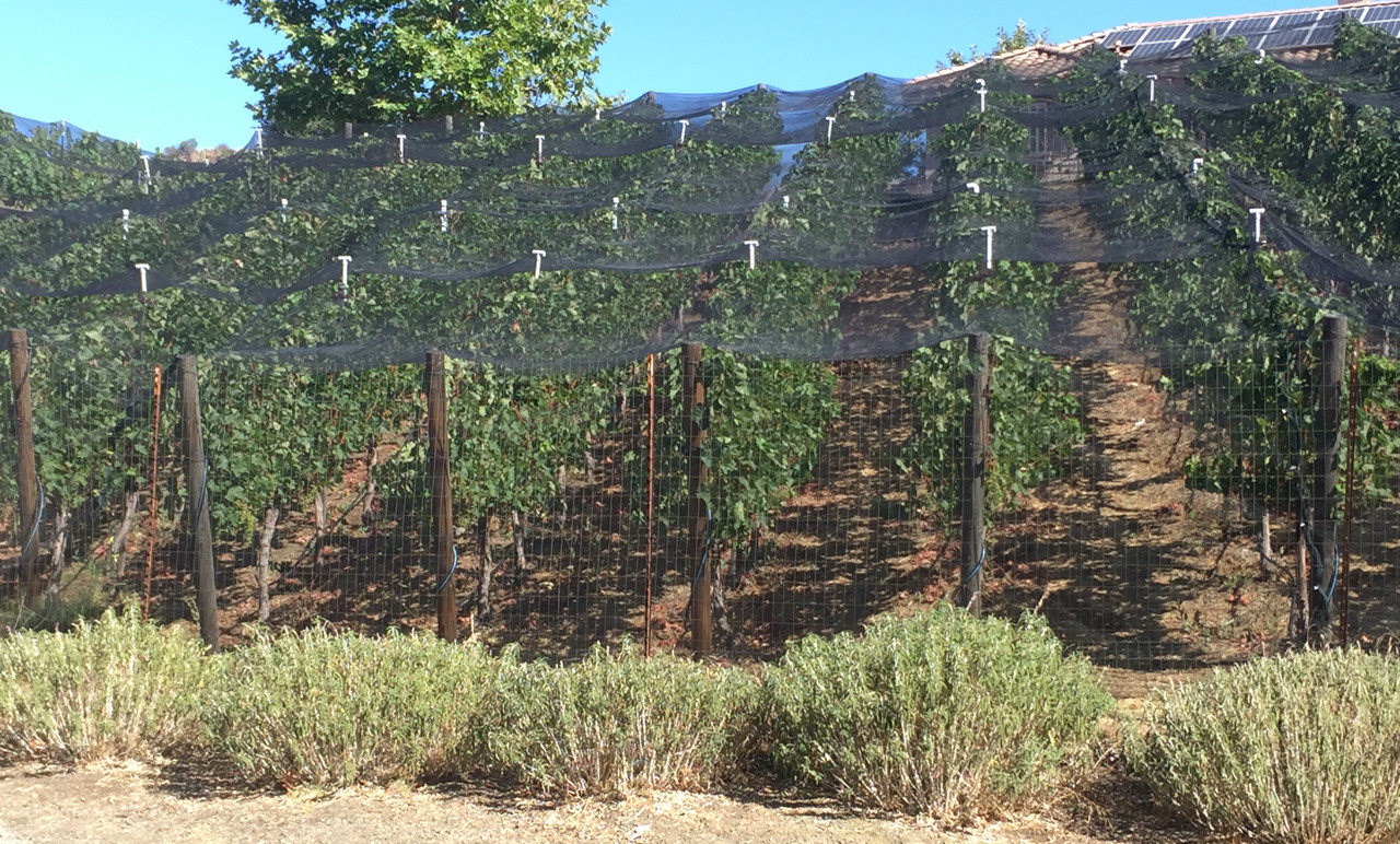 Tightloch® Single Row DrapeOver Netting 21.5' X 495'