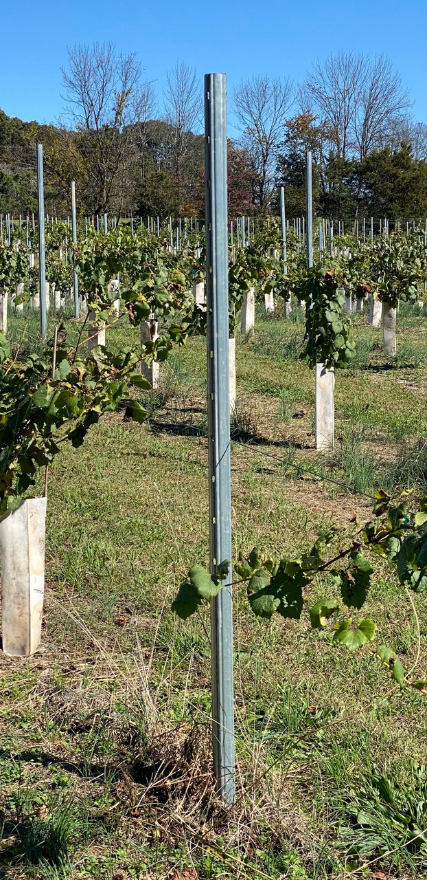 MG48M Steel Line Posts