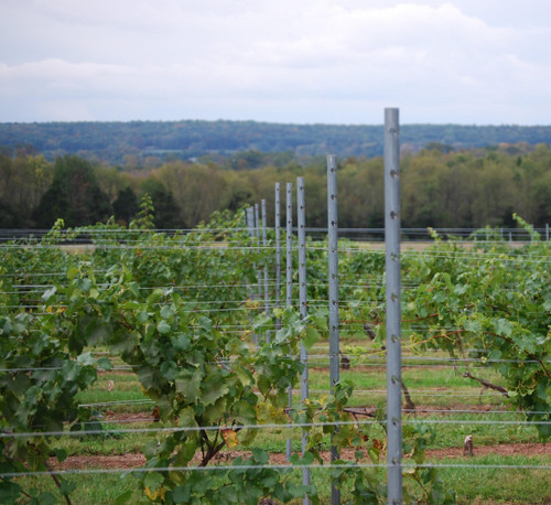 MG48M Steel Line Posts
