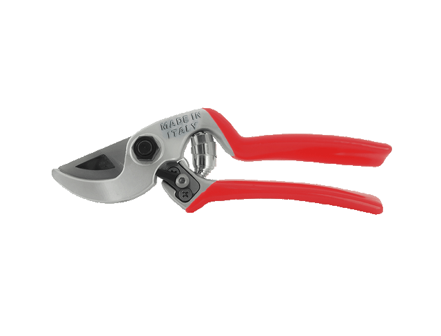 Castellari Mini Pruner