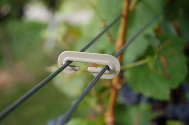 Biodegradable Catch Wire Clips
