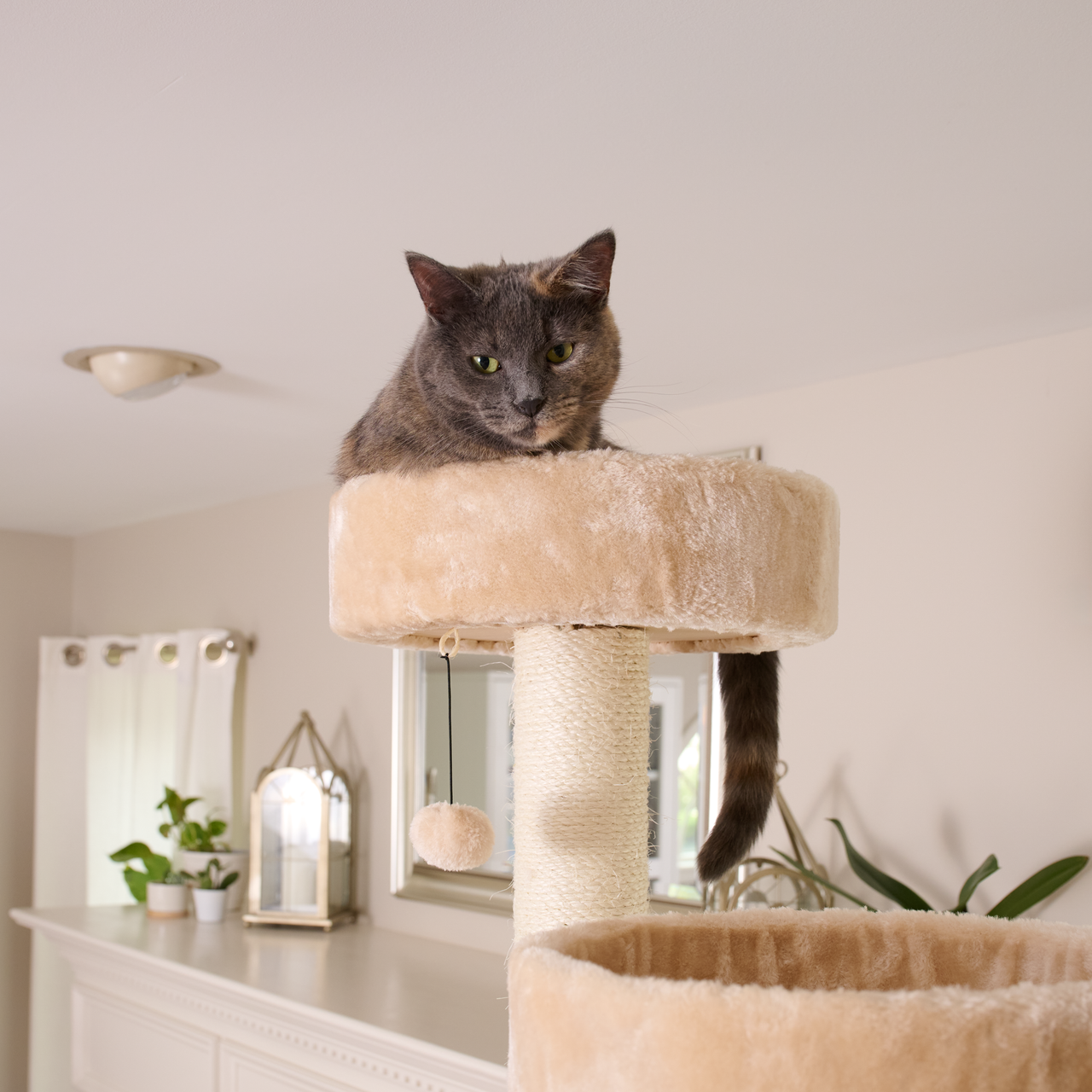 Armarkat large cat tree A8402