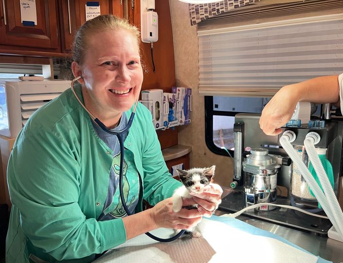 Hear from a hero vet - spay and neuter - Armarkat Online Store