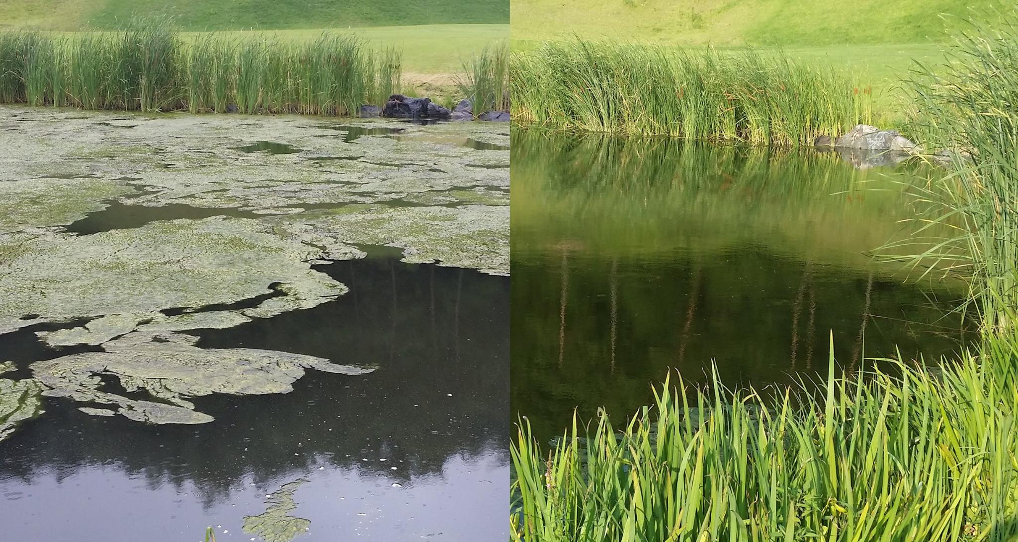 Absolute Aquatics | Pond Aerators, Lake Fountains and Aeration Equipment