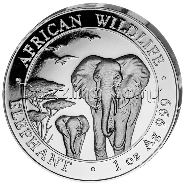 2015 Somalian African Wildlife ELEPHANT 4 Silver Coin Set