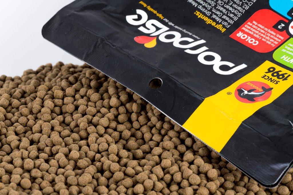 Essential Tips for Feeding Your Koi Fish - DIYMegaStore.com.au