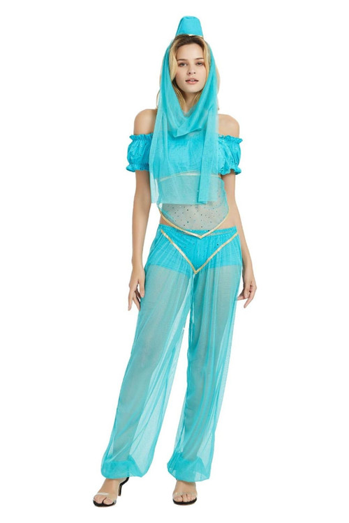 Arabian Princess Belly Dancer Genie Costume