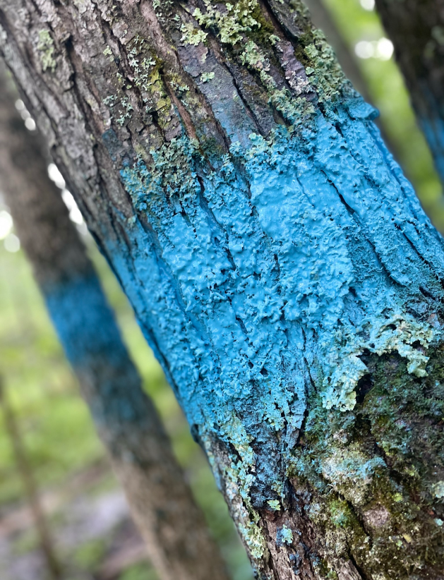 Contact Us - Nelson Paint Company