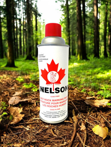 Nelson Wet Rock® Aerosol 12 Oz Can - The Nelson Paint Company