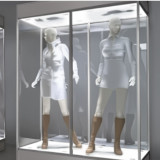 Double Mannequin Display Case – Secure Showcase for Retail, Museums ...