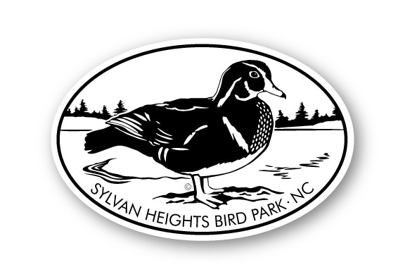 Wholesale Wood Duck Sticker| Mountain Graphics