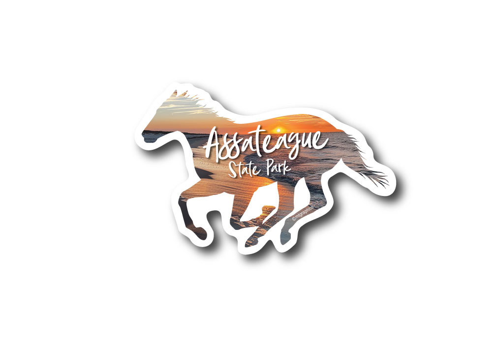Horse Running on Beach Sticker - Mountain Graphics
