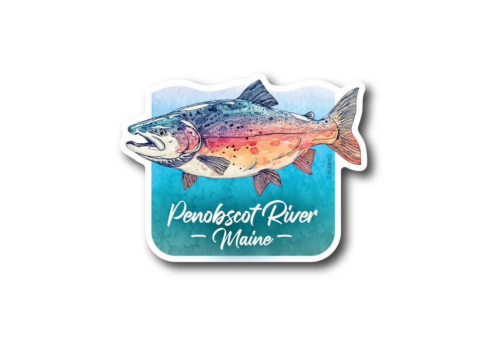 Watercolor Salmon Die Cut Sticker - Mountain Graphics