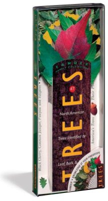 Fandex Family Field Guides: Trees| Mountain Graphics | Free Shipping