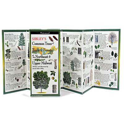 Sibley's Common Trees of Trails & Forests of the Northeast & Upper ...