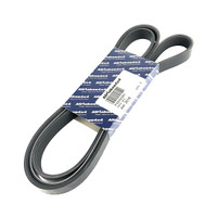 Main Drive Belt | PQS500081