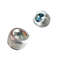 Diff Plugs | TYB500060 TYB500110