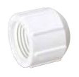 PVC Threaded Cap 3/4" #448-007 50/bx