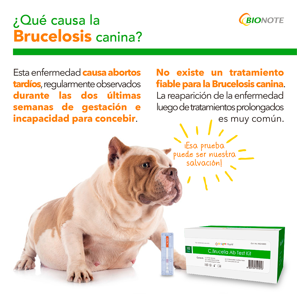 Canine Brucella Testing - Immunetics