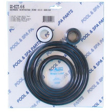 Go-Kit-66 Hayward Northstar Pump 4000 Series (44-6066)