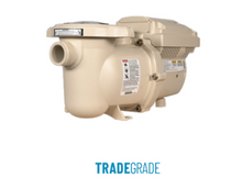 Pentair IntelliFlo3 VSF Pool Pump - 3 THP 208-230V - 011075