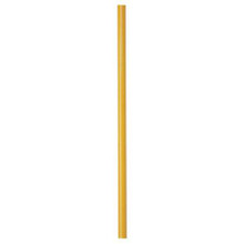 Heavy Duty Professional Poles -12ft Fiberglass Straight Pole