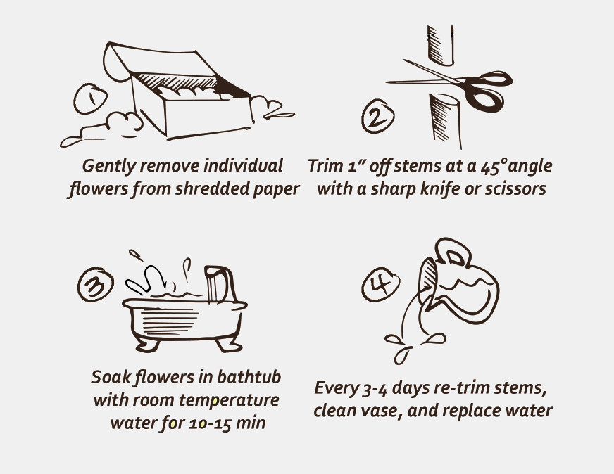 Tropical Flower Care