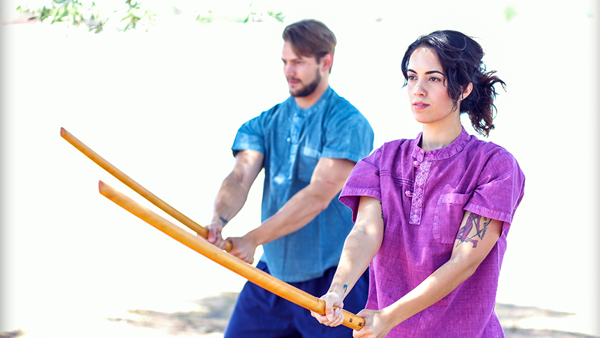 The Wooden Sword and Yoga Stick: Tools of Transformation for Body, Mind ...